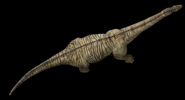 modelo 3d Brontosaurus 3D (Rigged) - TurboSquid 1407823