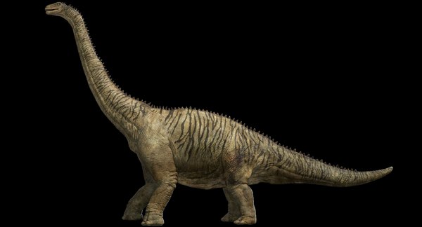 modelo 3d Brontosaurus 3D (Rigged) - TurboSquid 1407823