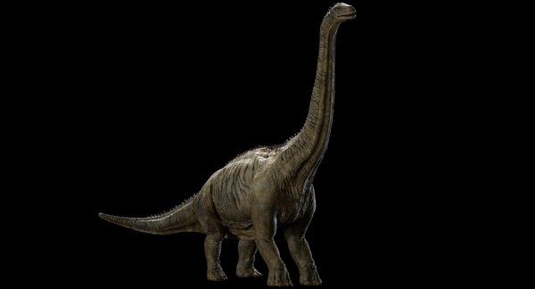 modelo 3d Brontosaurus 3D (Rigged) - TurboSquid 1407823