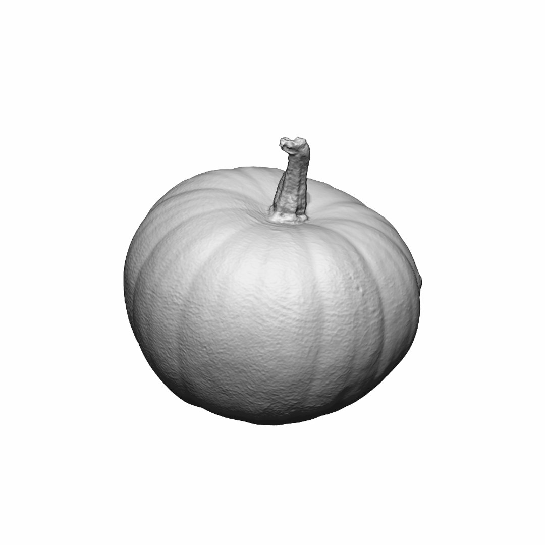 3d Scan Pumpkin Model