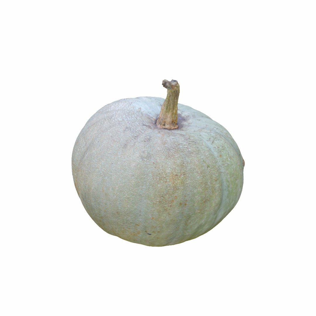 3d Scan Pumpkin Model