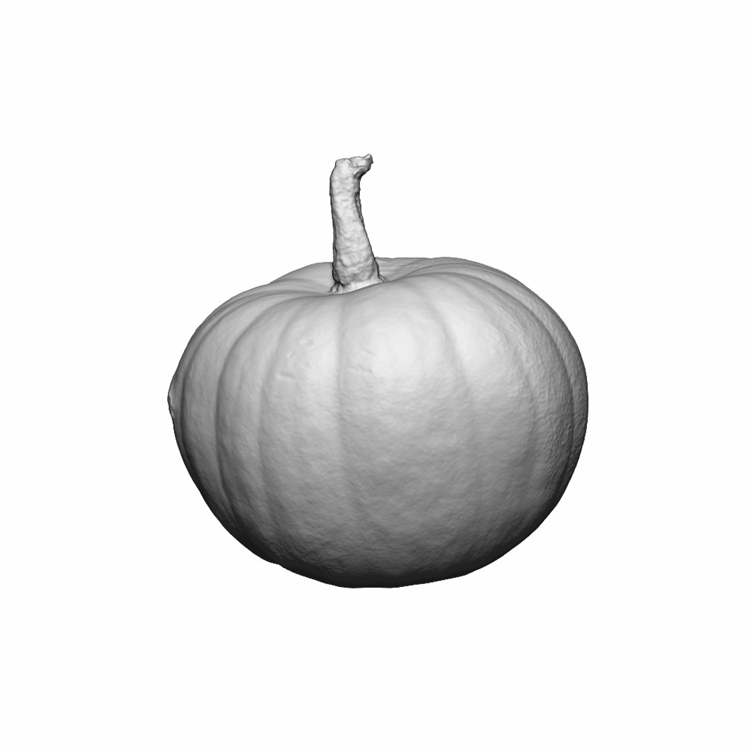 3d Scan Pumpkin Model