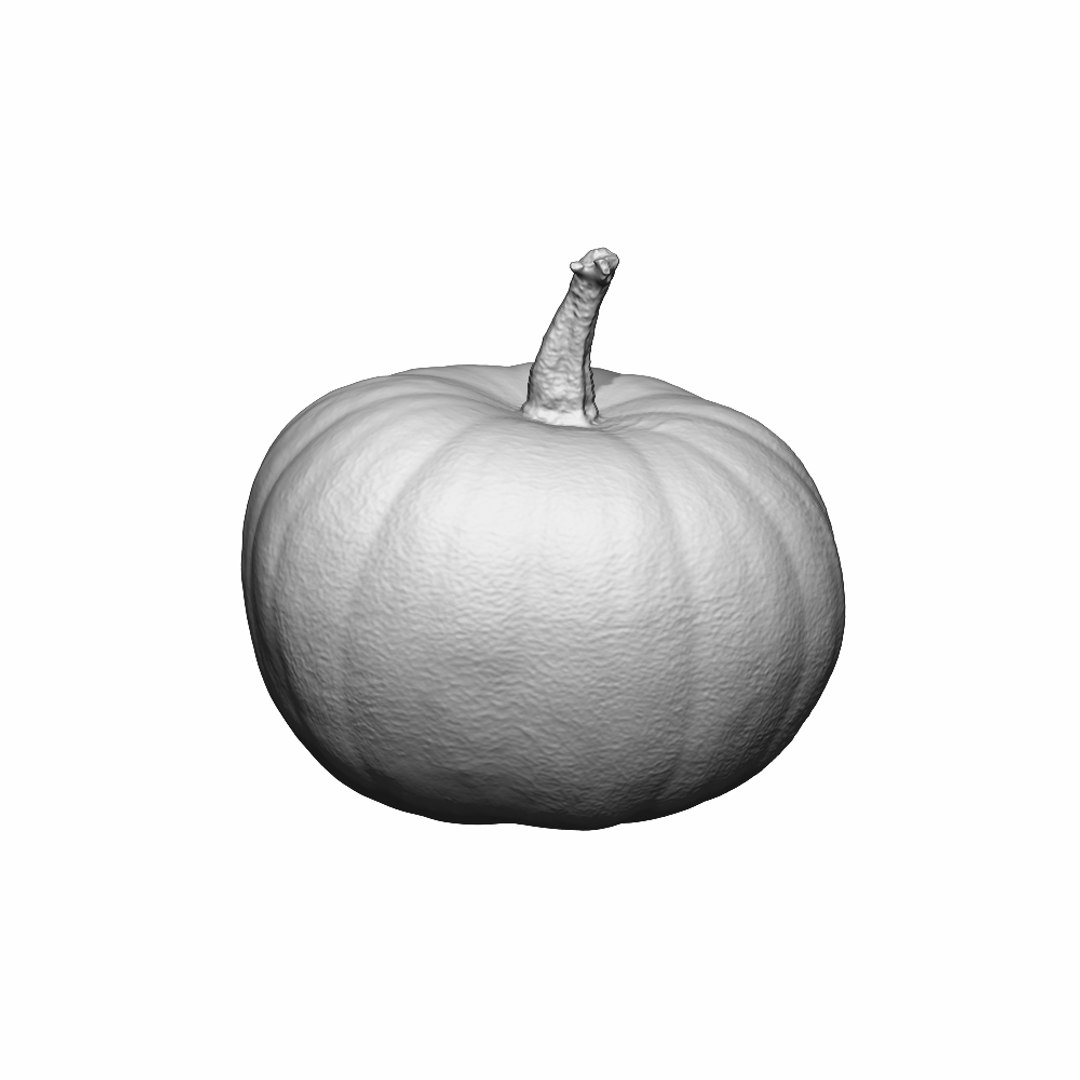 3d Scan Pumpkin Model