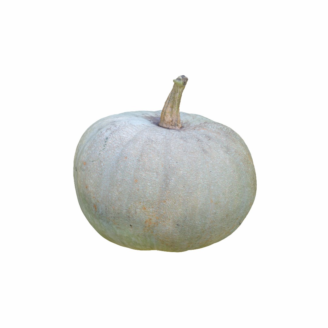 3d Scan Pumpkin Model