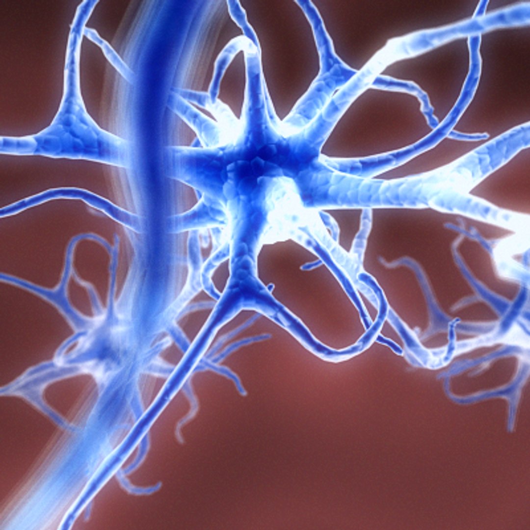 Neuron Network 3d Model