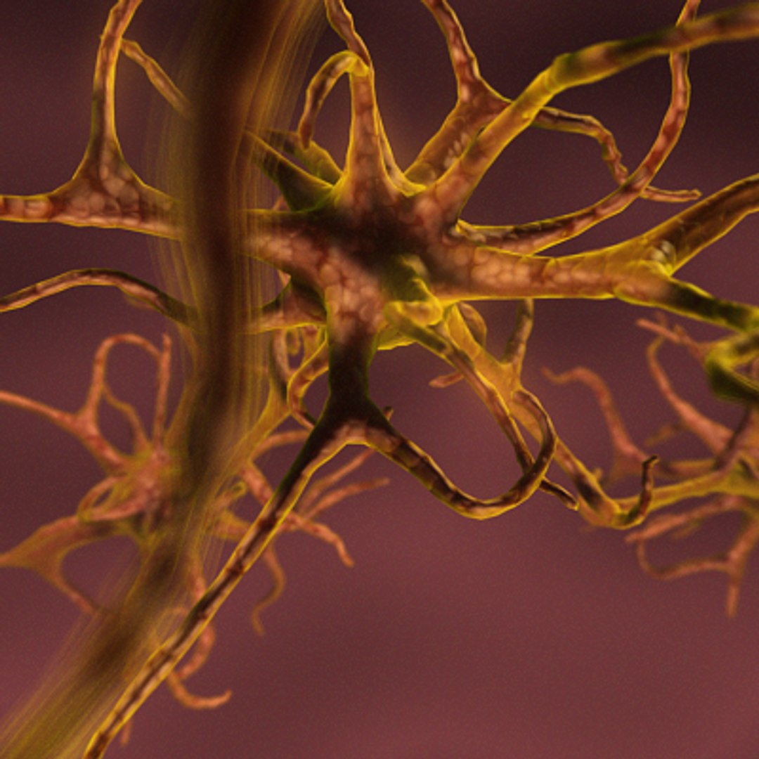Neuron Network 3d Model