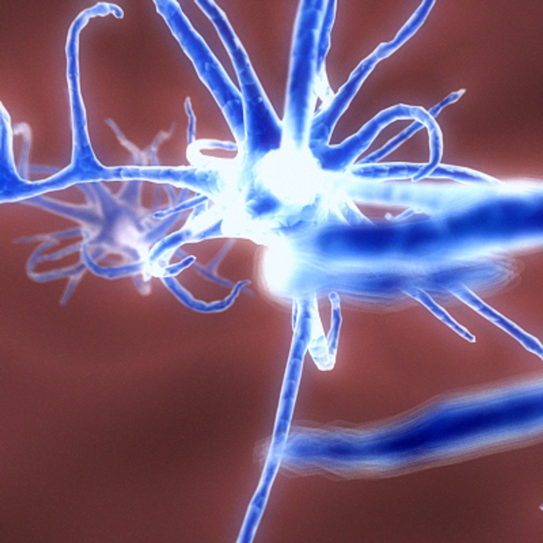 Neuron Network 3d Model