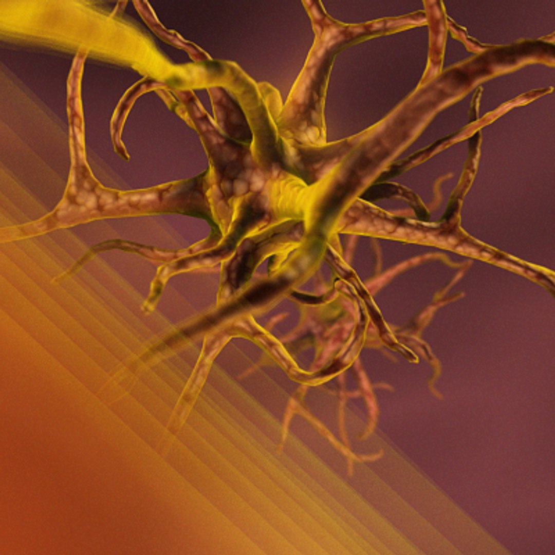 Neuron Network 3d Model