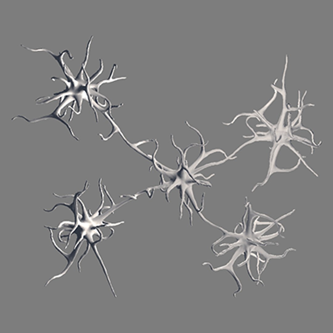 Neuron Network 3d Model