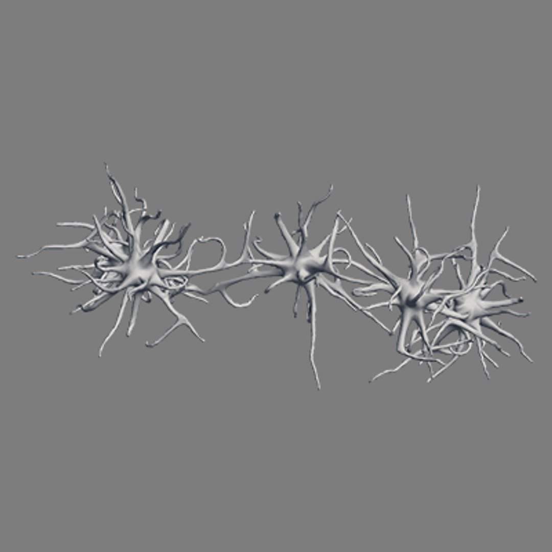 Neuron Network 3d Model