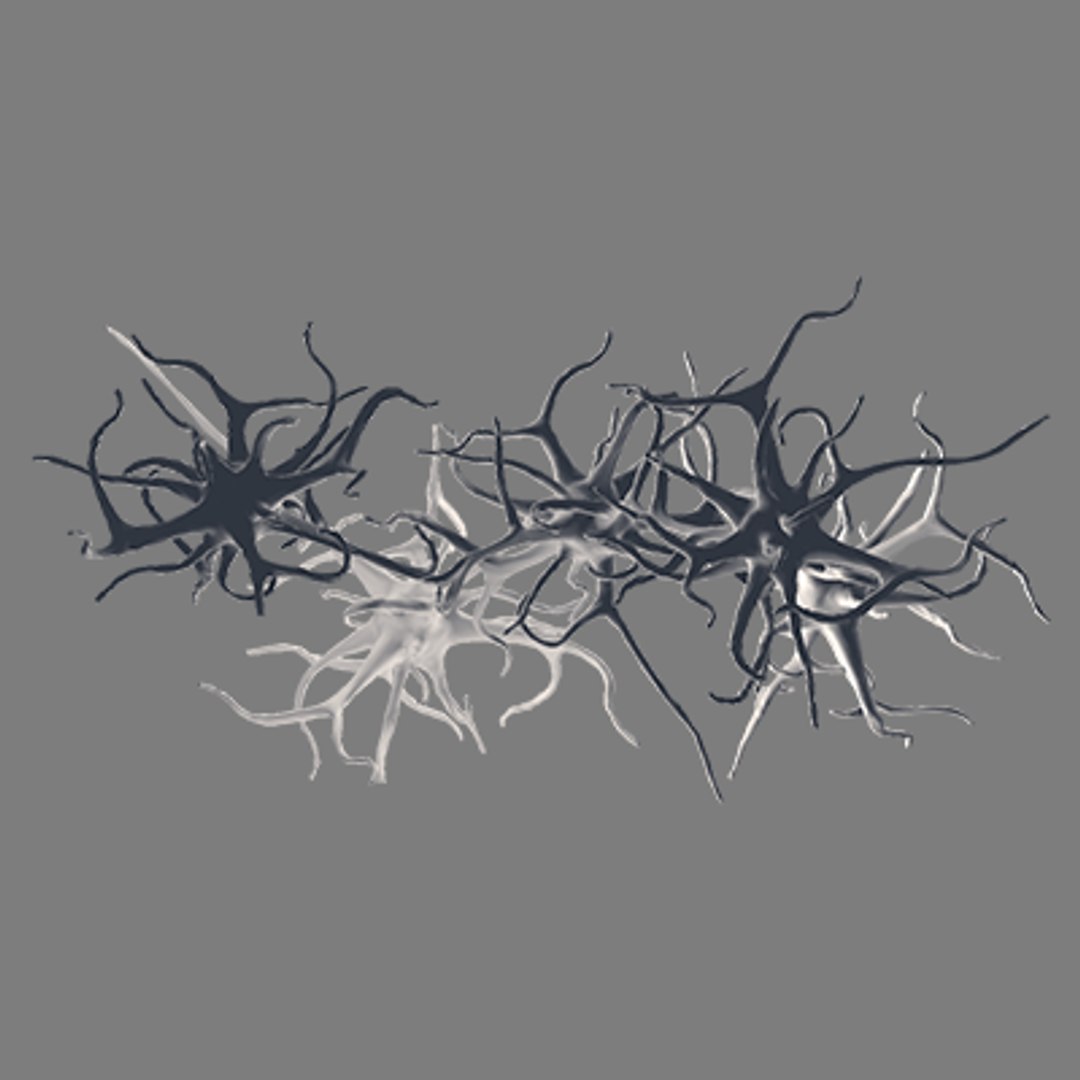 Neuron Network 3d Model