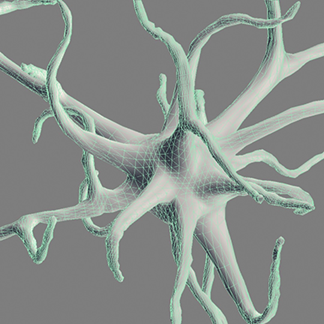 Neuron Network 3d Model