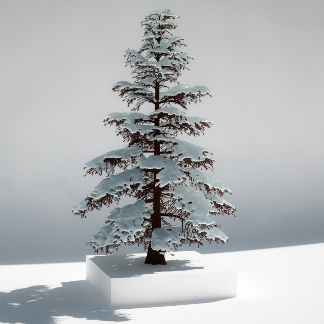 Pine Tree Snow Max