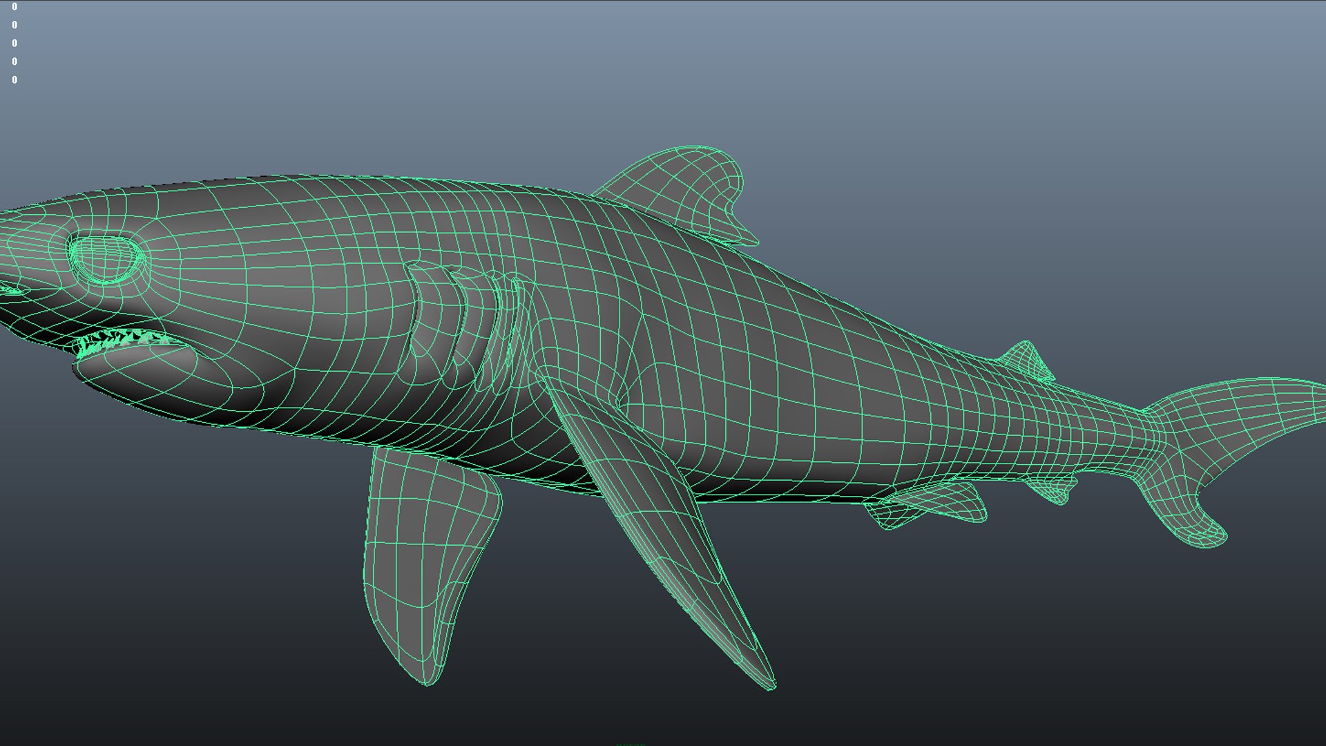 Shark Collection 3D Model - TurboSquid 1813081