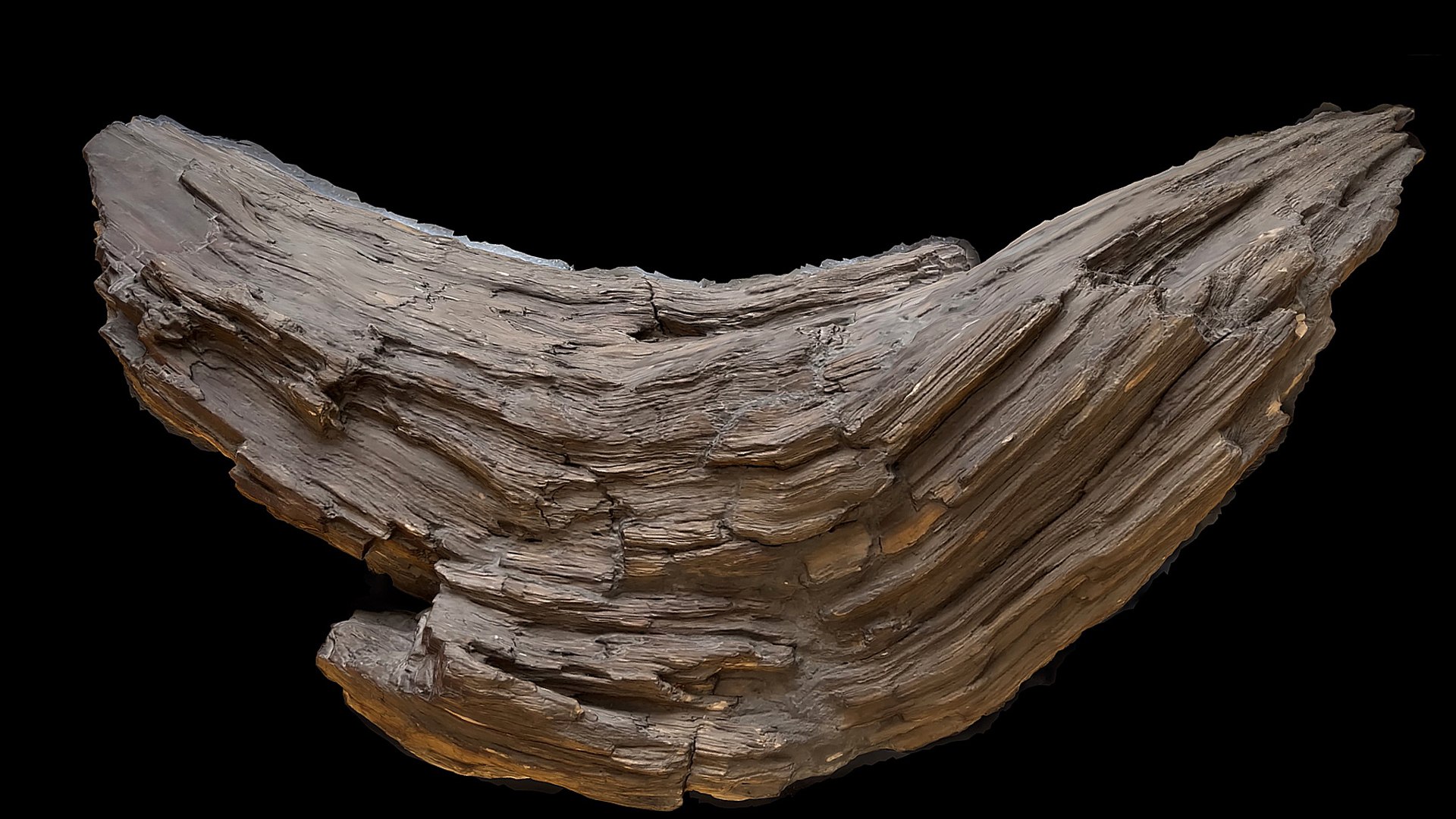 Wood Log Old Broken Tree Front Part Photogrammetry 3D Model ...