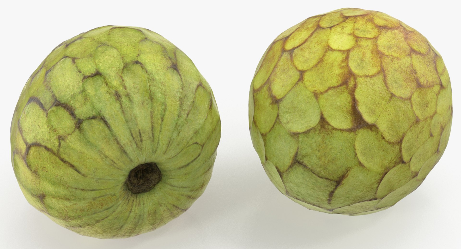 Exotic Fruits Collection 8 3D Model - TurboSquid 2207545