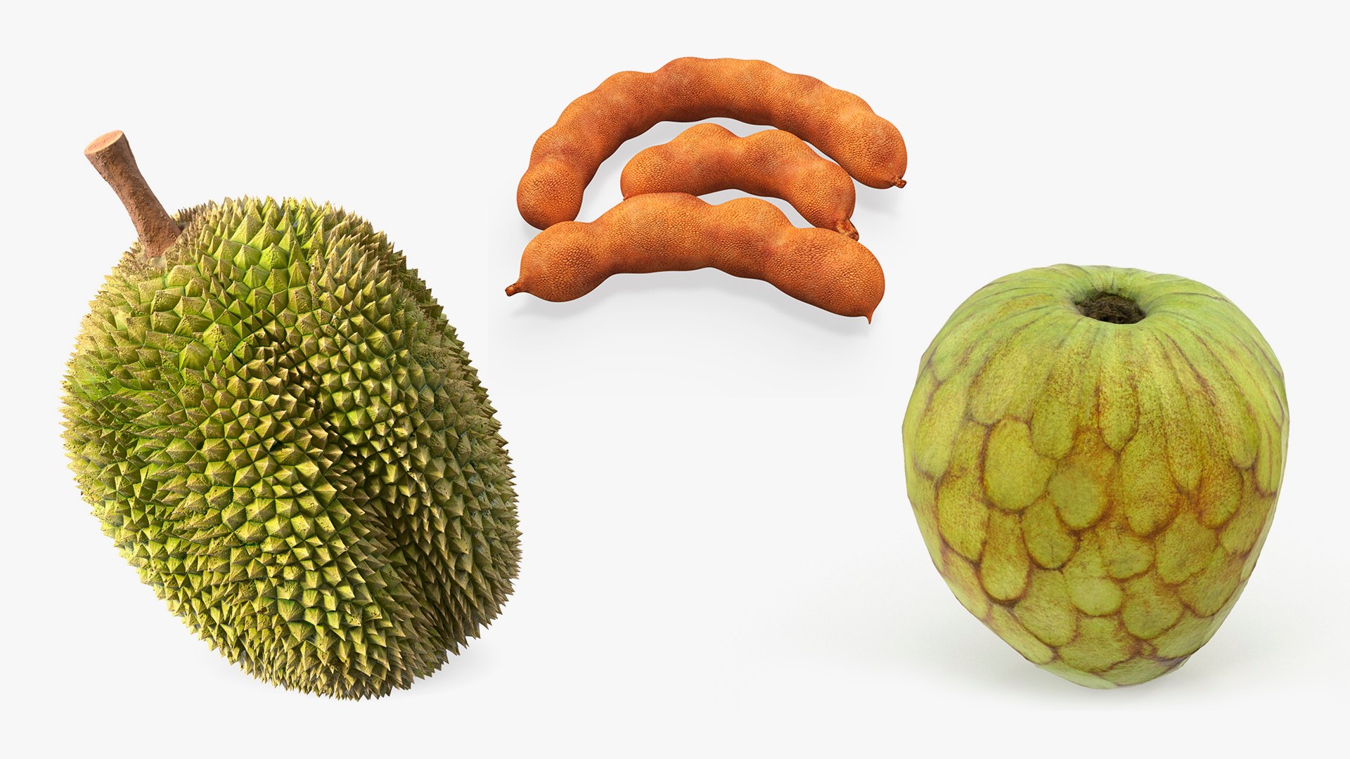 Exotic Fruits Collection 8 3D Model - TurboSquid 2207545