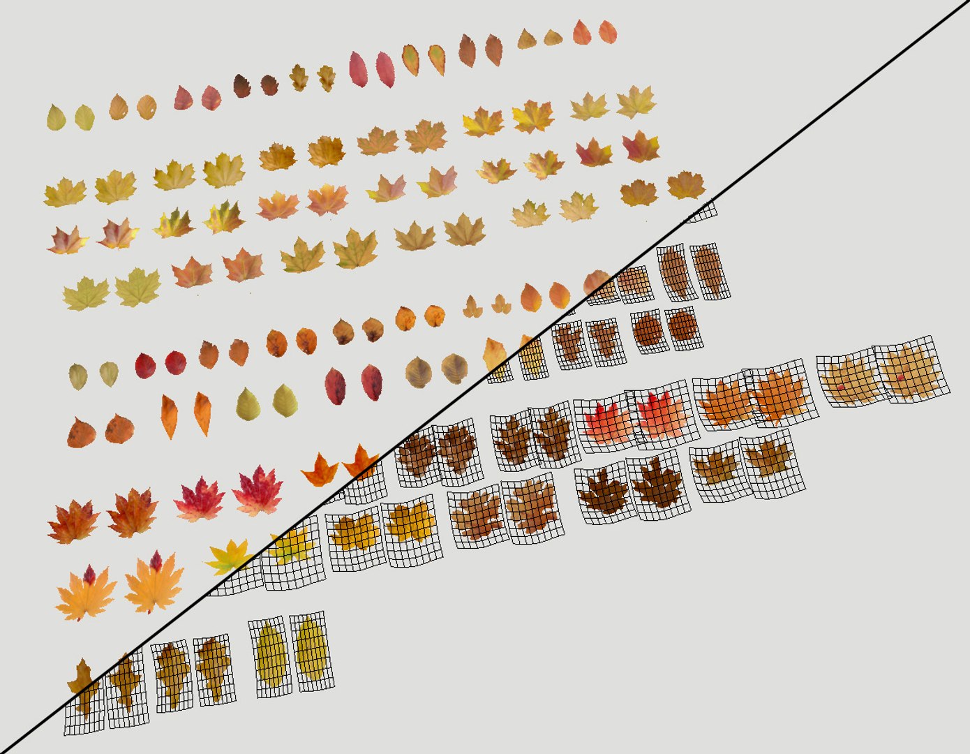 3d Realistic Fall Leaves Scattered Model