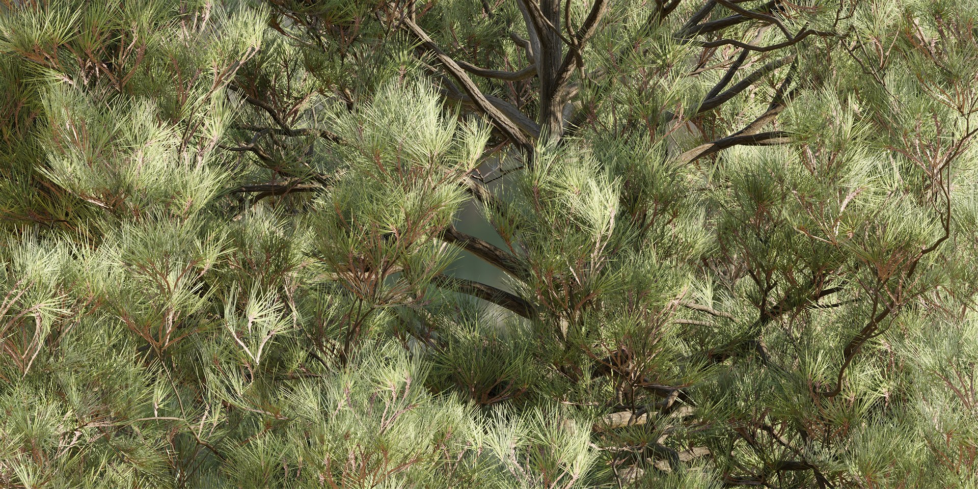 3D Model Pine Trees Collection Vol 11-Blender - TurboSquid 2119788