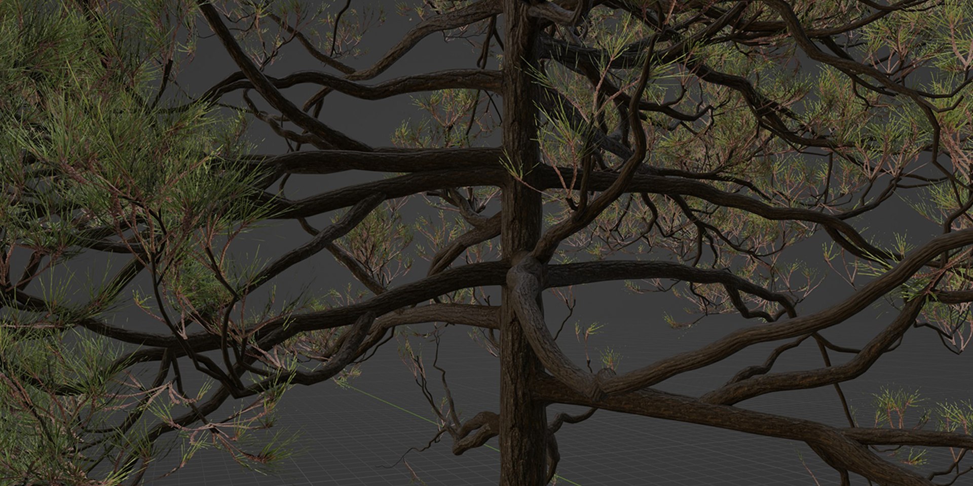 3D Model Pine Trees Collection Vol 11-Blender - TurboSquid 2119788