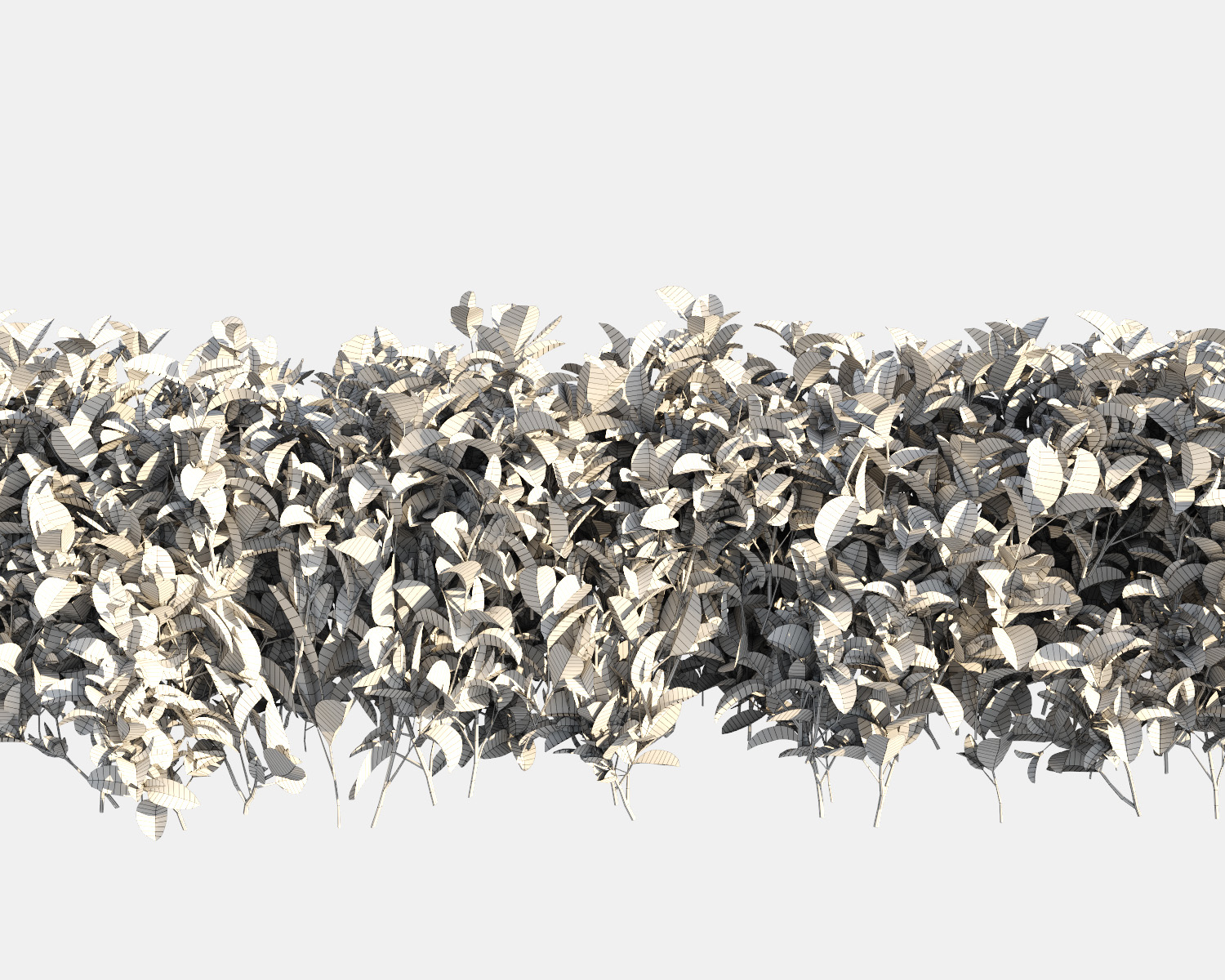 3D exotic shrubs hedges - TurboSquid 1196177