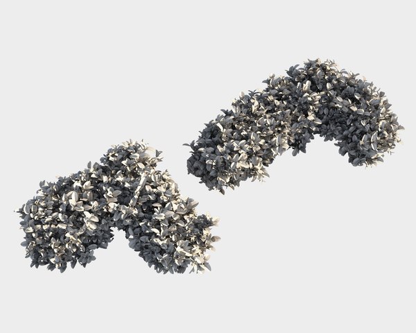3D exotic shrubs hedges - TurboSquid 1196177