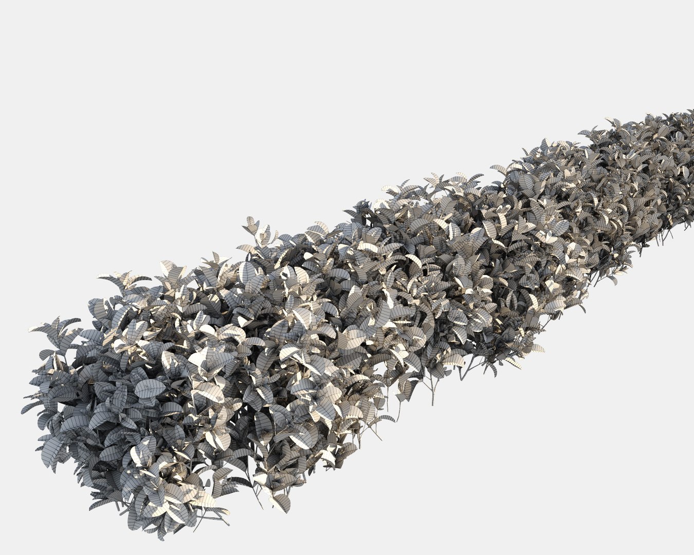 3D Exotic Shrubs Hedges - TurboSquid 1196177