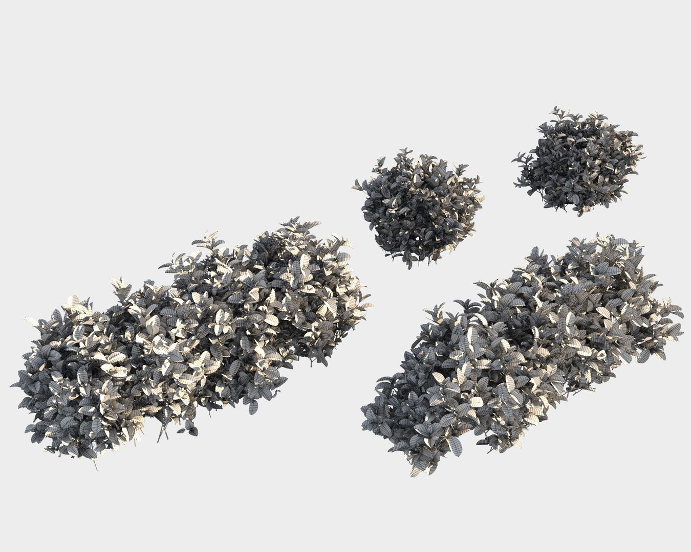 3D Exotic Shrubs Hedges - TurboSquid 1196177