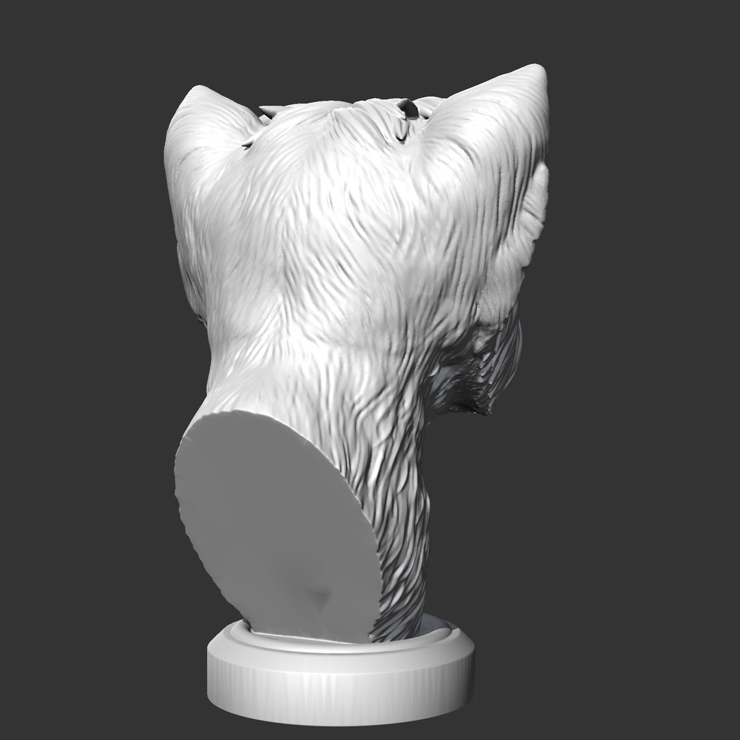 3D Yorkshire Terrier Head AM33 3D Print Model - TurboSquid 2248795