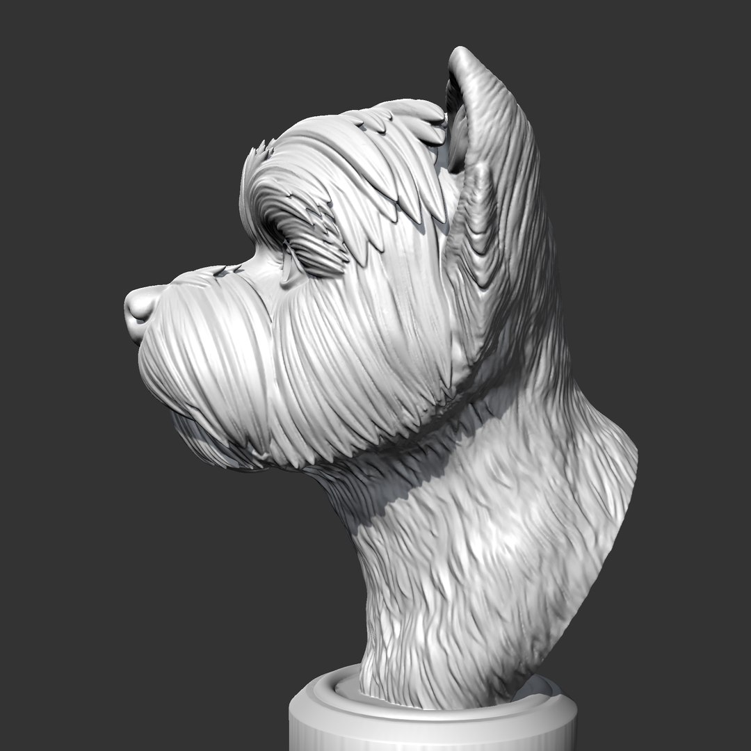3D Yorkshire Terrier Head AM33 3D Print Model - TurboSquid 2248795