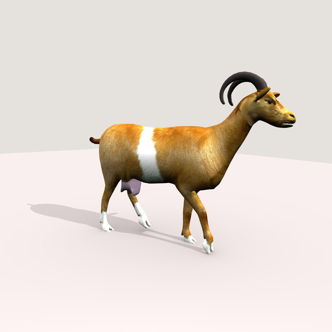 goat 3d model