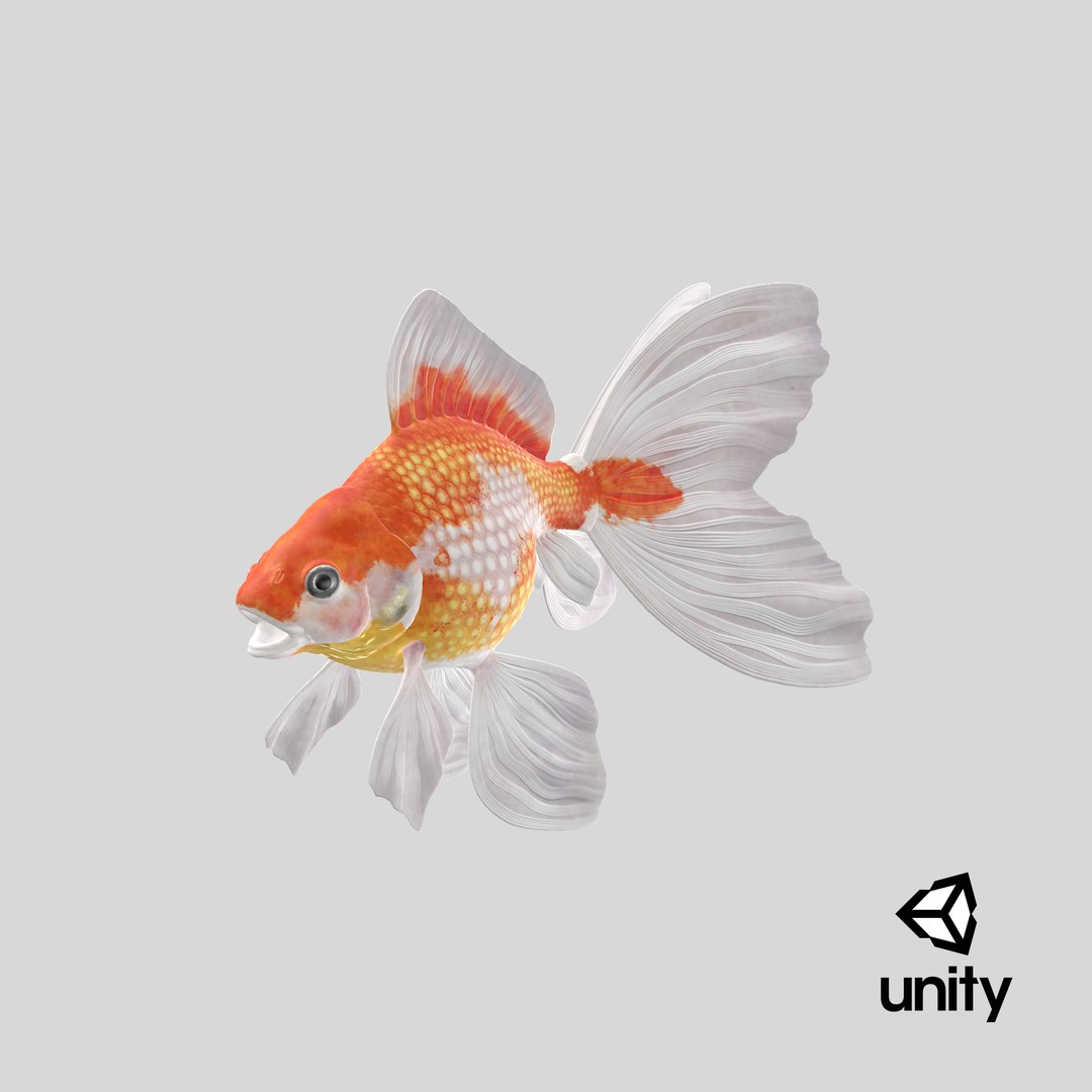 Goldfish Aquarium Fish 3D Model - TurboSquid 1762442
