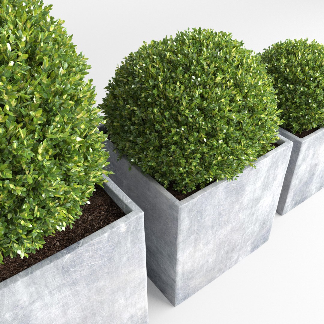 Realistic Planters Square 3d Max