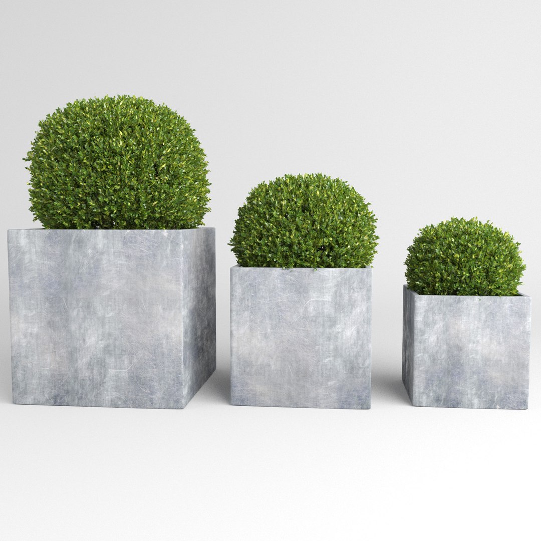 Realistic Planters Square 3d Max