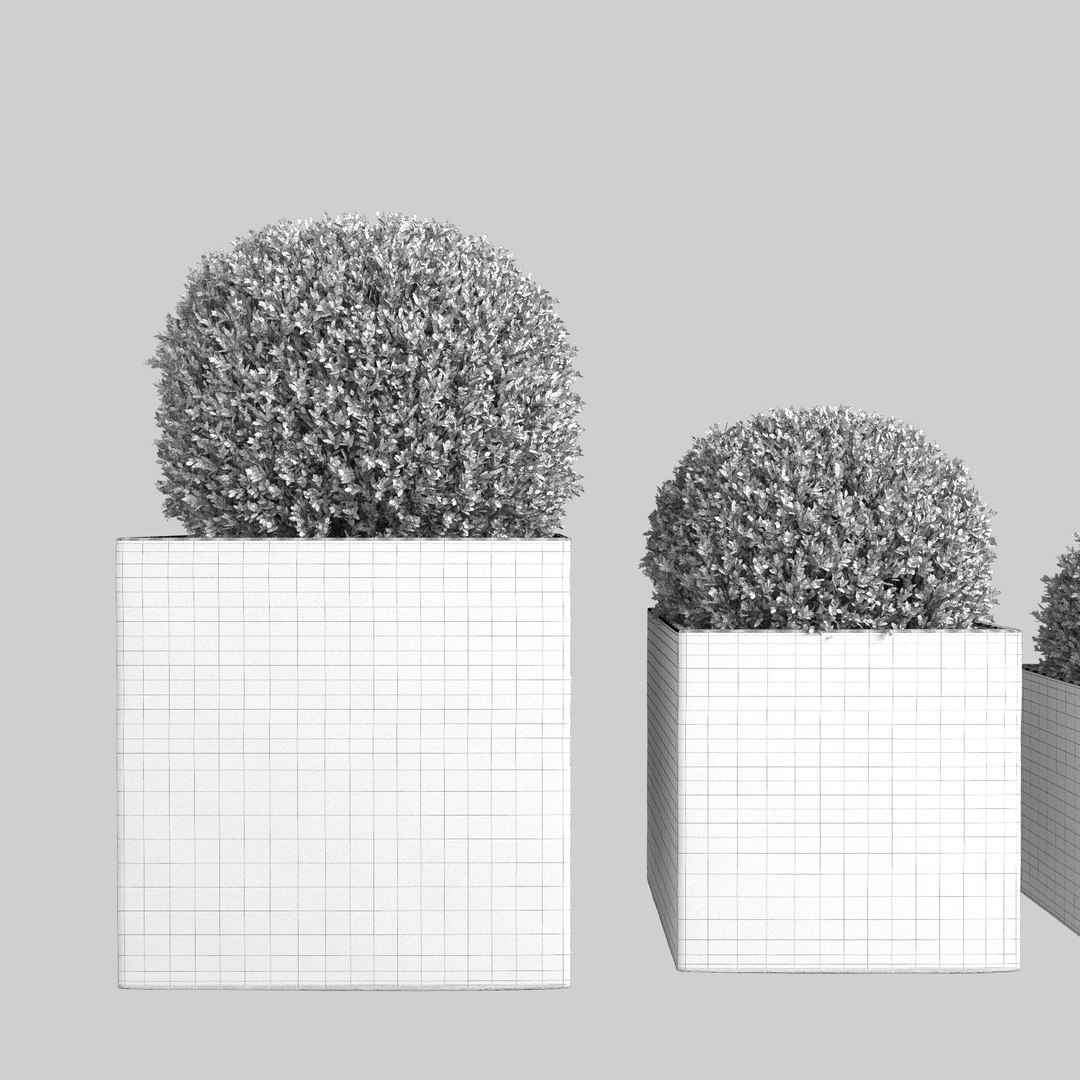 Realistic Planters Square 3d Max