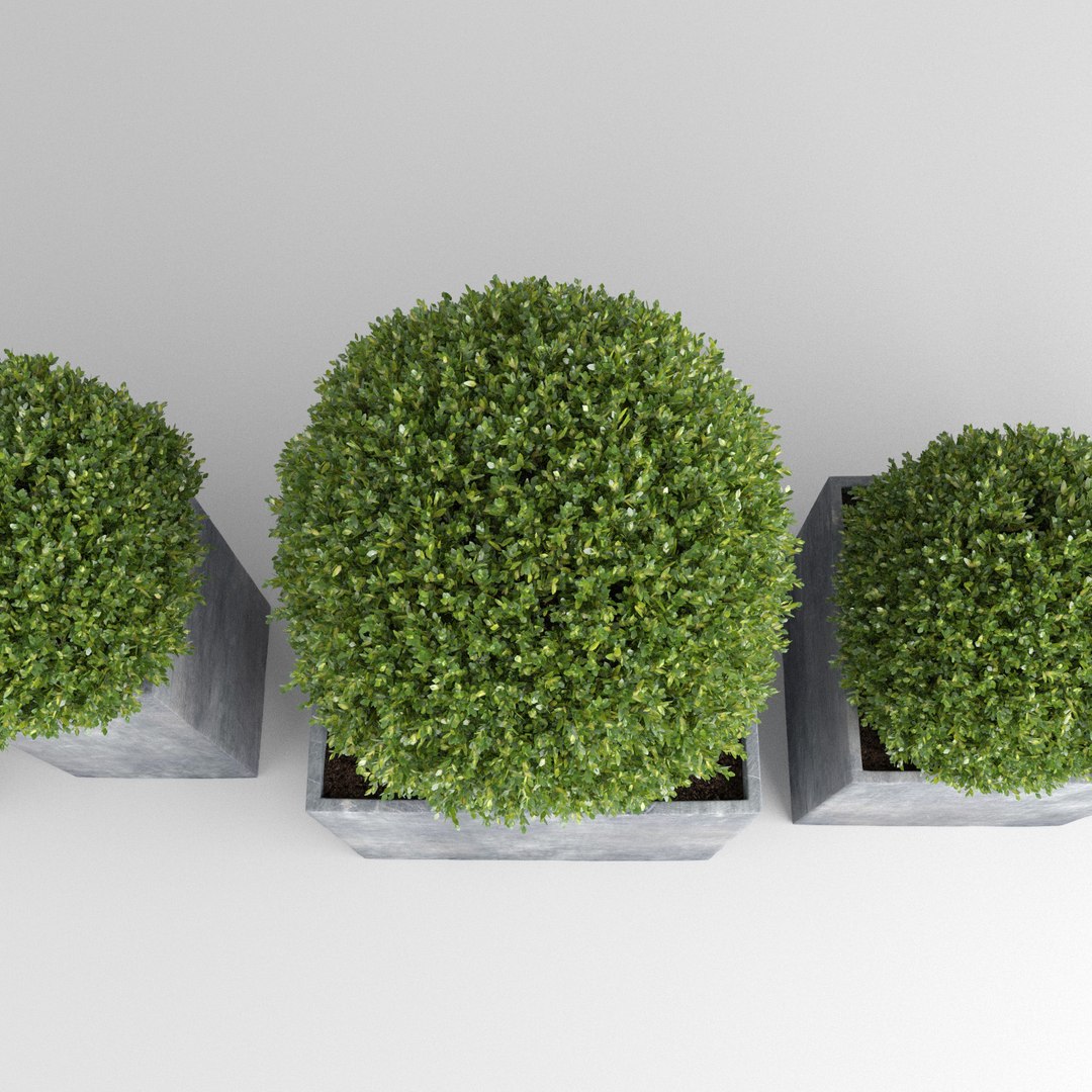 Realistic Planters Square 3d Max