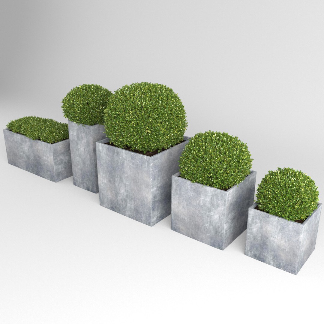 Realistic Planters Square 3d Max