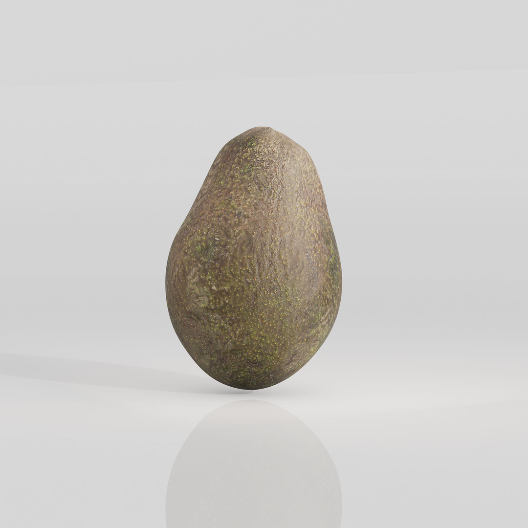 Avocado 3D Model - TurboSquid 2092071