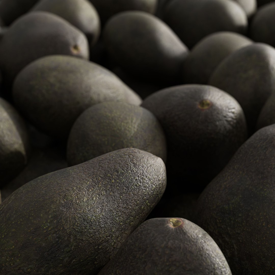 Avocado 3D Model - TurboSquid 2092071