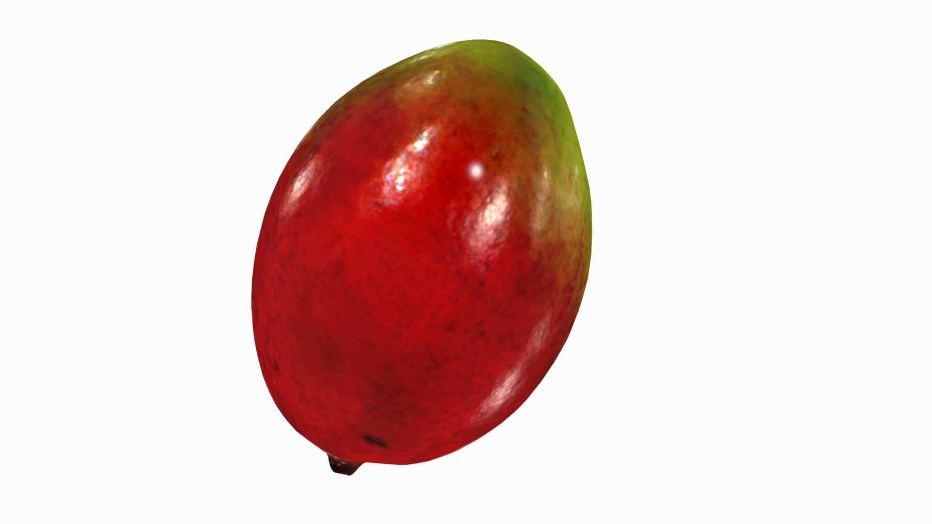 Mango Scan Objects Model - TurboSquid 1702386