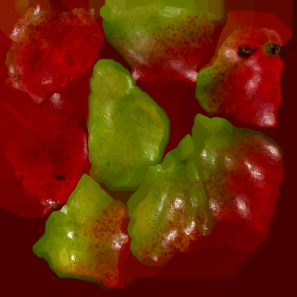 Mango scan objects model - TurboSquid 1702386