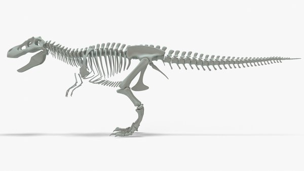 modelo 3d Tyrannosaurus Rex Rigged Basemesh Skeleton - TurboSquid 2068064