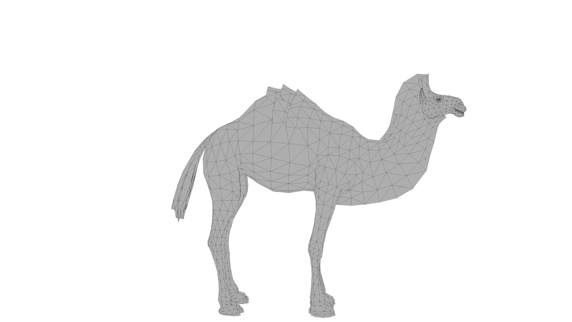 Realistic Camel 3D Model 3D Model - TurboSquid 2374077