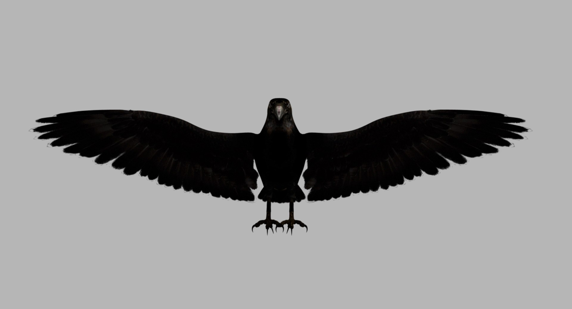 Raven 3D model - TurboSquid 1480464
