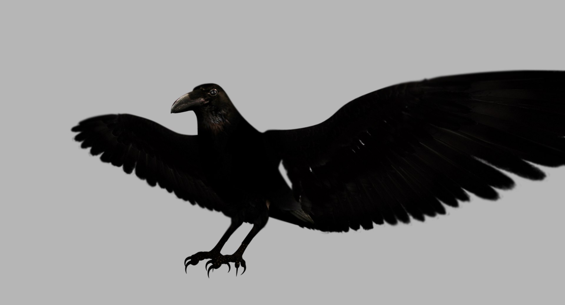 Raven 3D model - TurboSquid 1480464