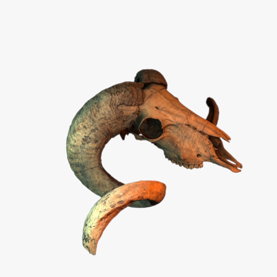 3D Ram Replica Real Model - TurboSquid 1704749