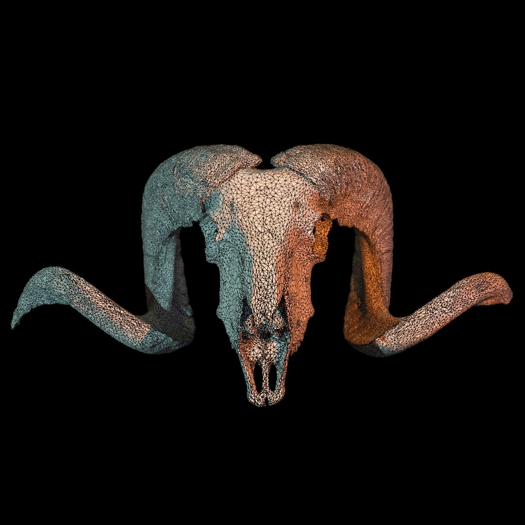 3D Ram Replica Real Model - TurboSquid 1704749