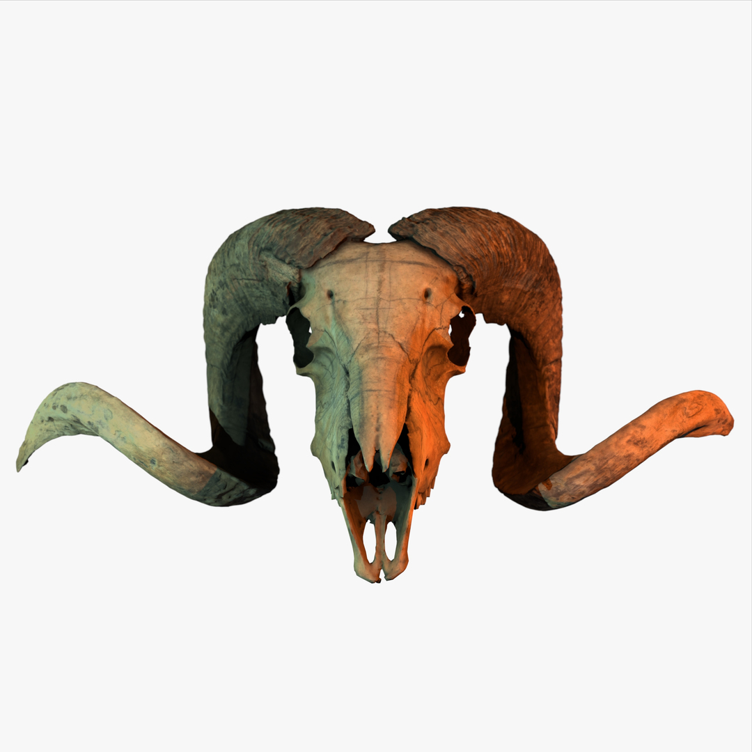 3D Ram Replica Real Model - TurboSquid 1704749