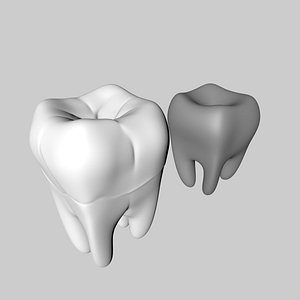 tooth 3d max