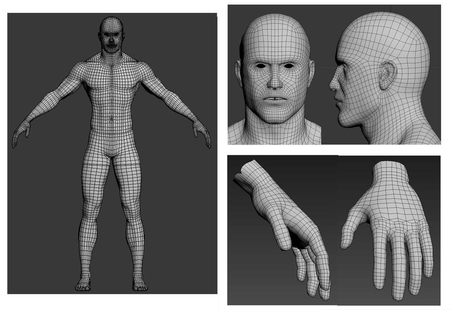 3d Male Body